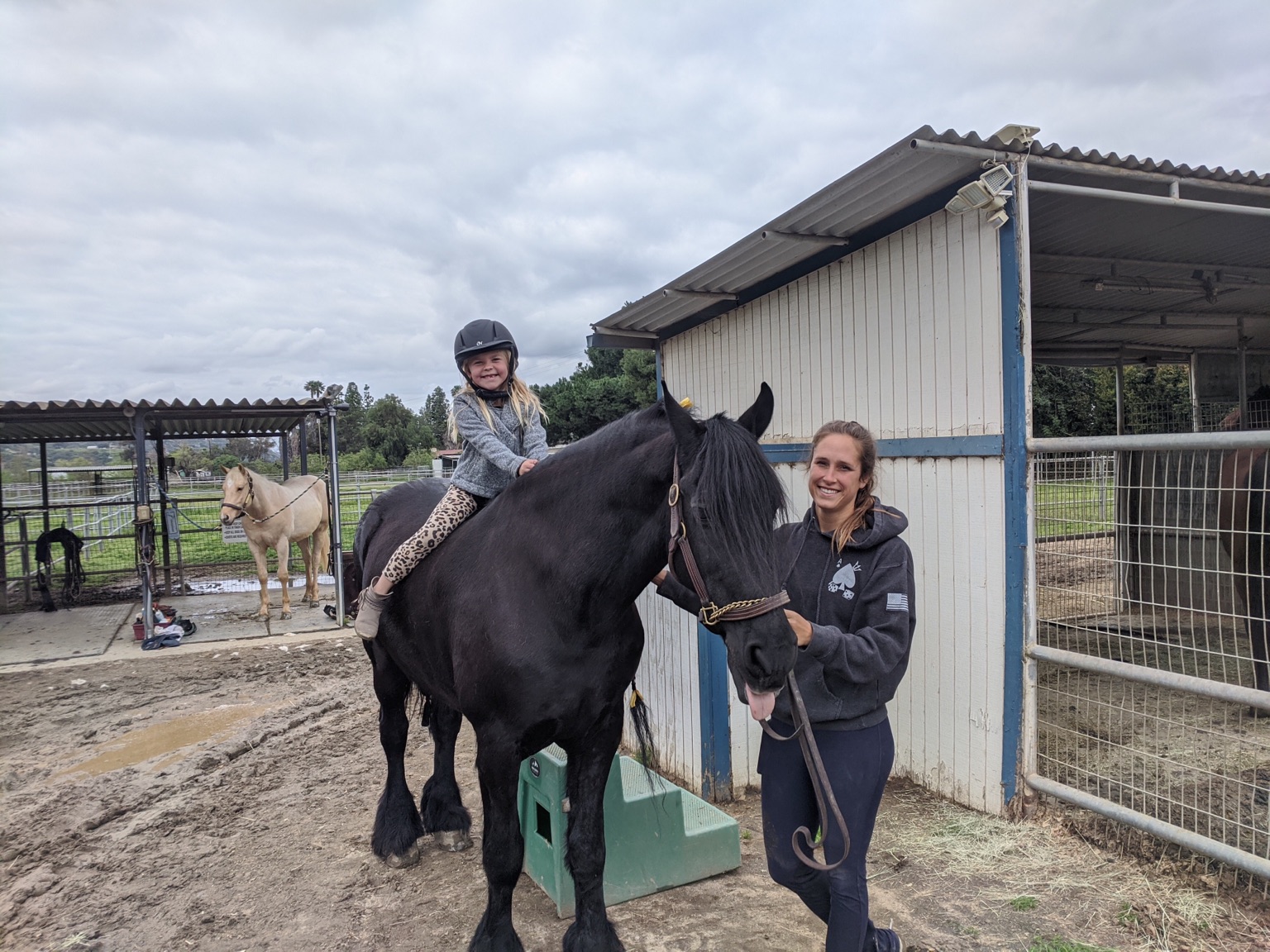 Spotlight: Tjalke, AKA Chuck – Anderson Stables, LLC